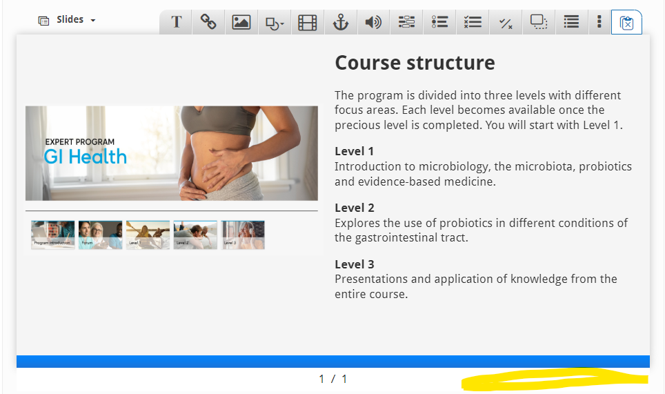 Unable to work with slides in Course Presentation | H5P